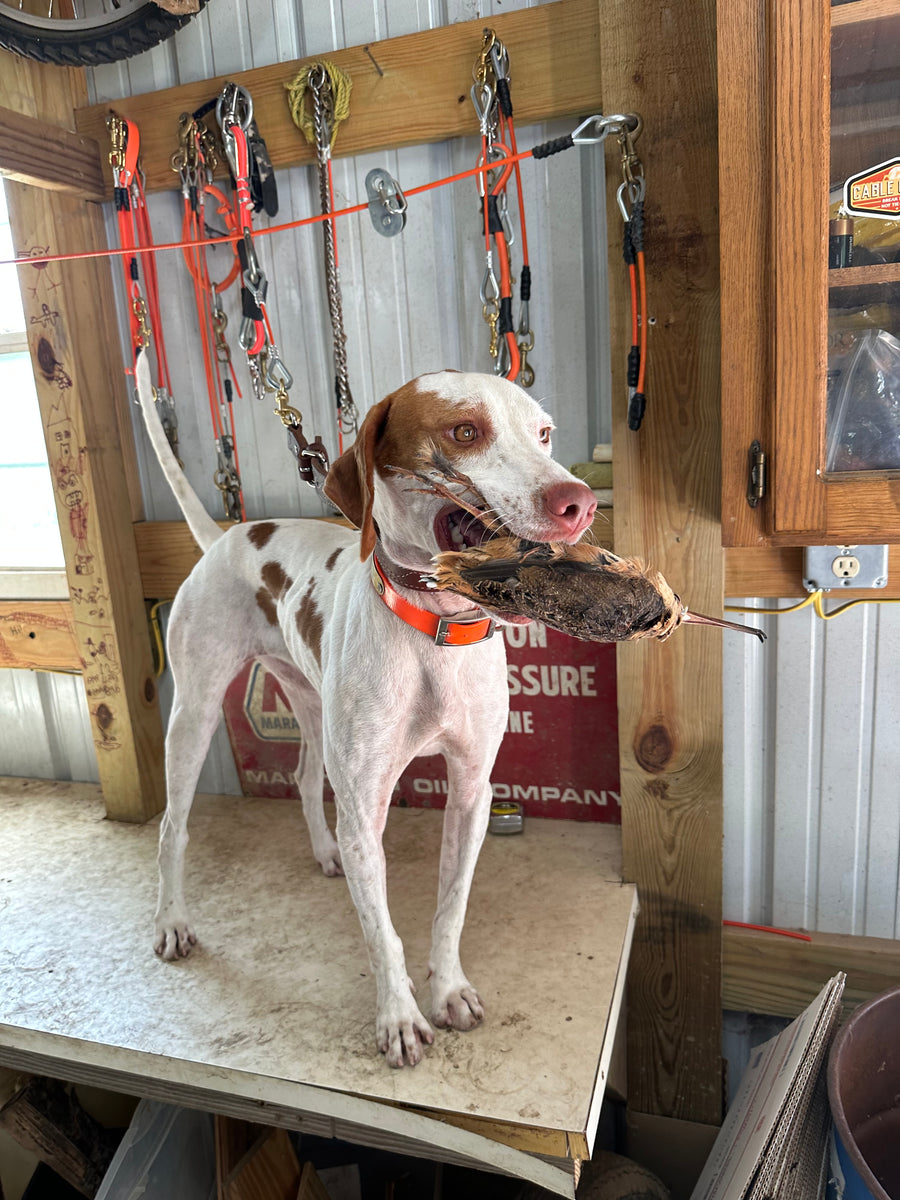 FF Overhead Cable System – Cable Gangz