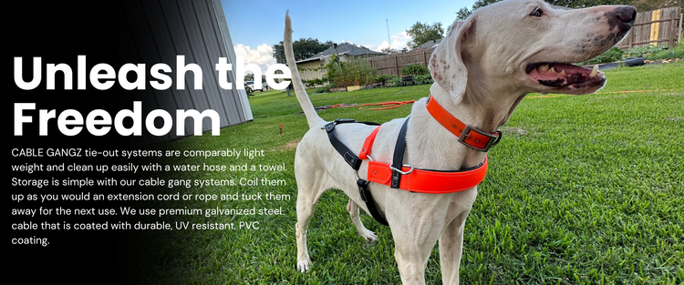 CABLE GANGZ - Cable gang tie out systems for hunting dogs – Cable Gangz