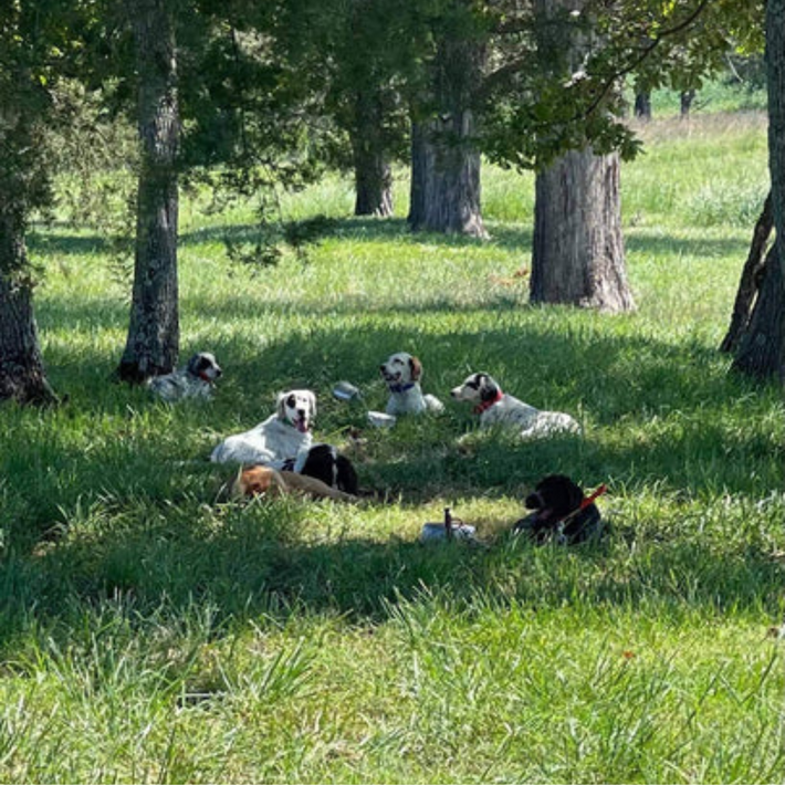 CABLE GANGZ in Action – Cable Gangz