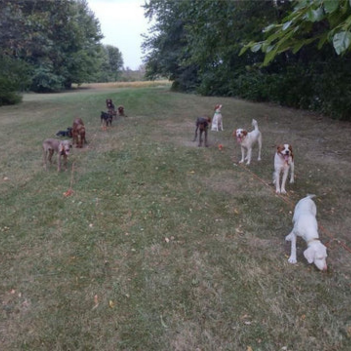 CABLE GANGZ in Action – Cable Gangz