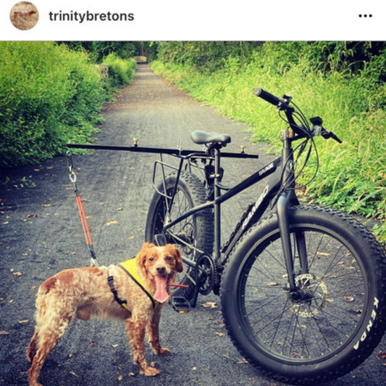 CABLE GANGZ in Action – Cable Gangz