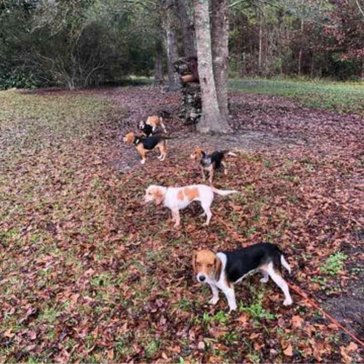 CABLE GANGZ in Action – Cable Gangz