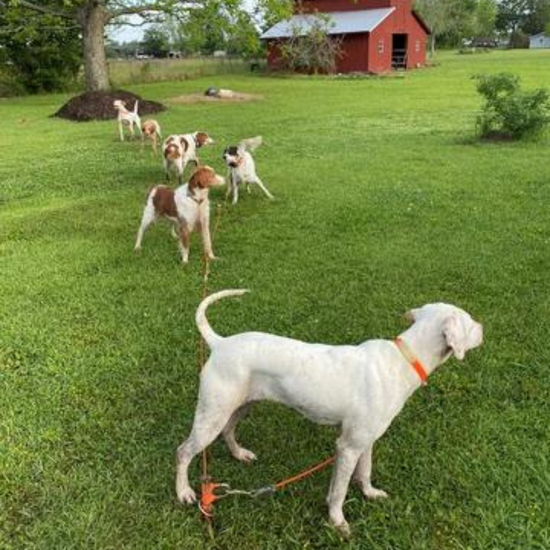 CABLE GANGZ in Action – Cable Gangz