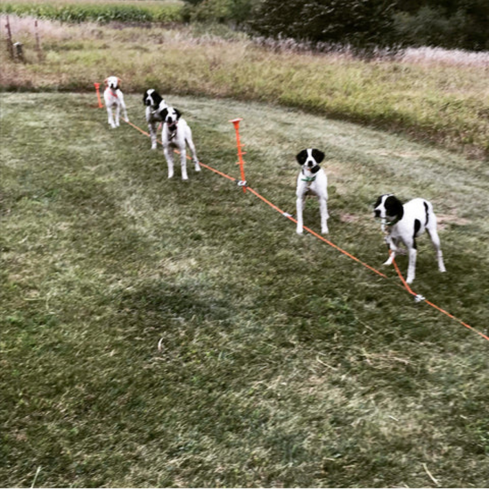 CABLE GANGZ in Action – Cable Gangz