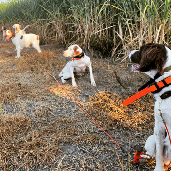 CABLE GANGZ in Action – Cable Gangz