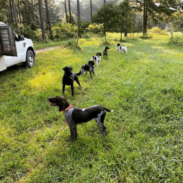 CABLE GANGZ in Action – Cable Gangz