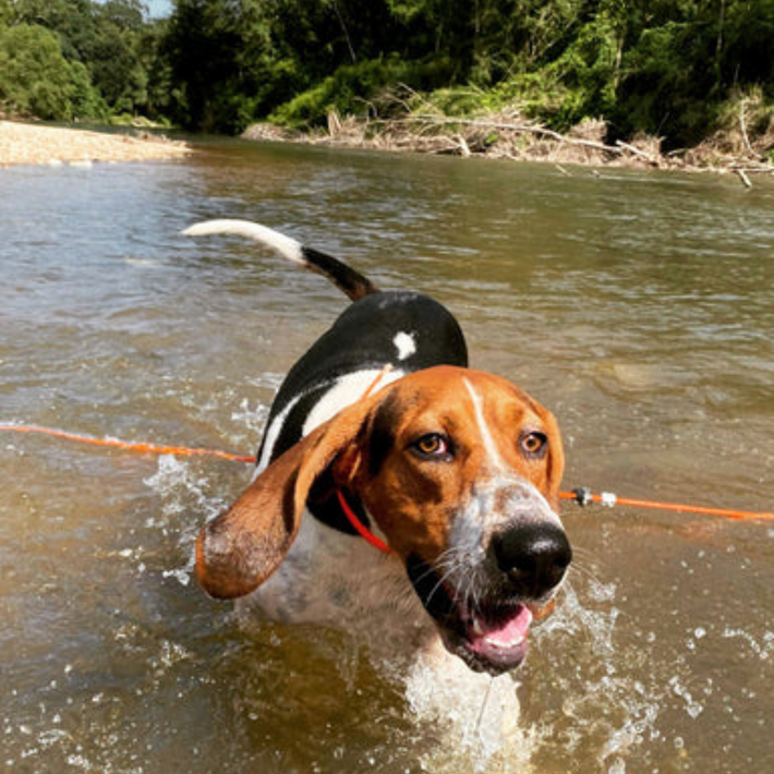 CABLE GANGZ in Action – Cable Gangz