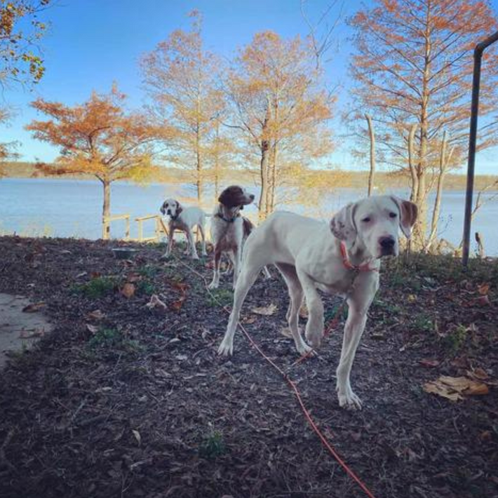 CABLE GANGZ in Action – Cable Gangz