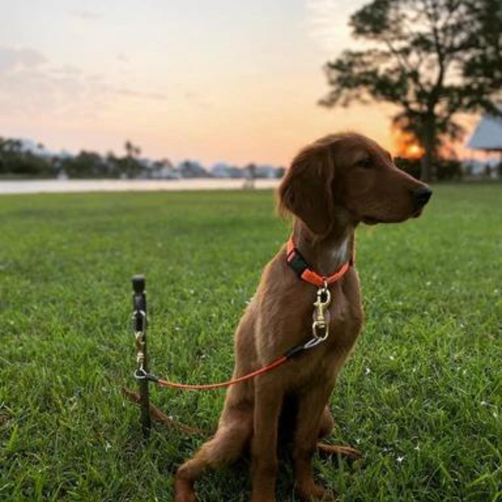 CABLE GANGZ in Action – Cable Gangz