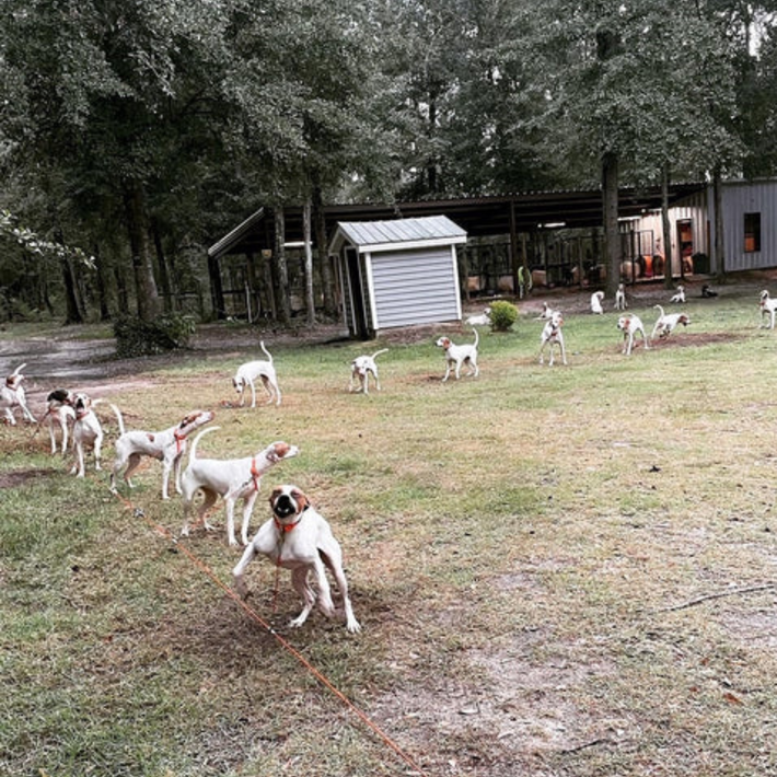 CABLE GANGZ in Action – Cable Gangz