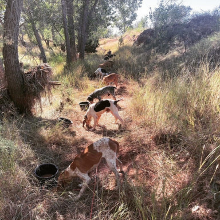 CABLE GANGZ in Action – Cable Gangz