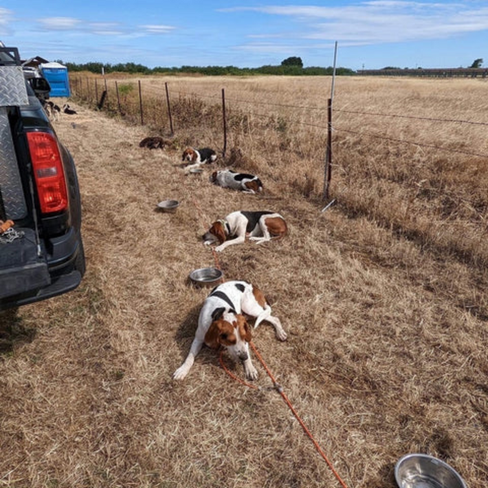 CABLE GANGZ in Action – Cable Gangz