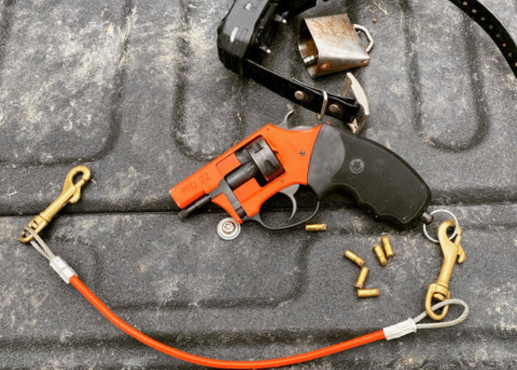 CABLE GANGZ - Cable gang tie out systems for hunting dogs – Cable Gangz