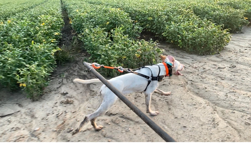 Roading Rigs – Cable Gangz